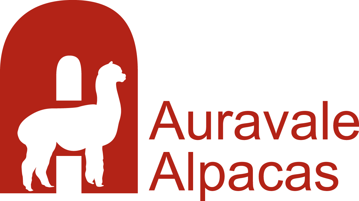 Contact Us | Auravale Alpacas
